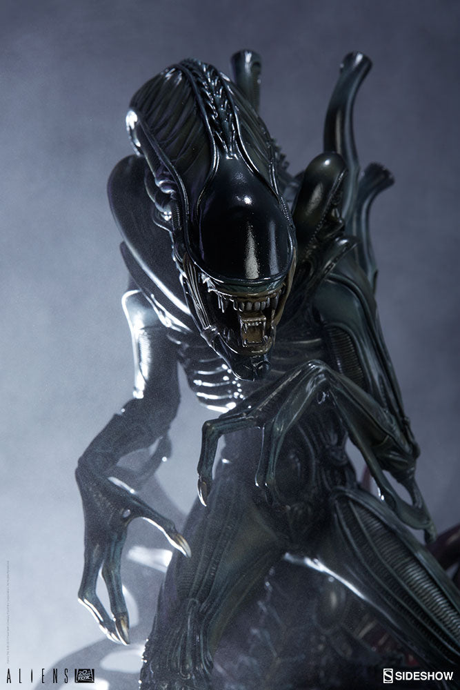Sideshow Aliens Alien Warrior Xenomorph Statue – Maybang's Collectibles